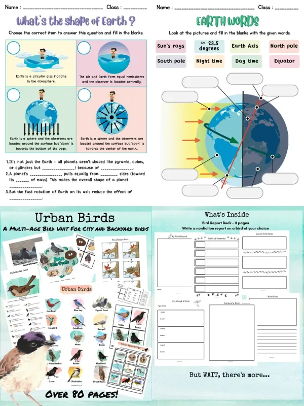 Mega Science Worksheet Bundle – 578 Pages of Hands-On Learning for Kids ...